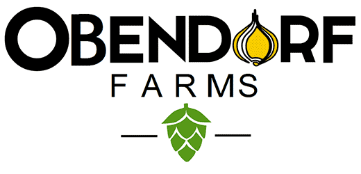 Crops » Onions - Obendorf Farms
